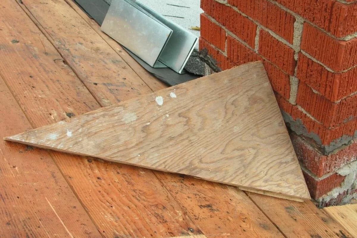 Roof Cricket 101: Everything You Need To Know About This